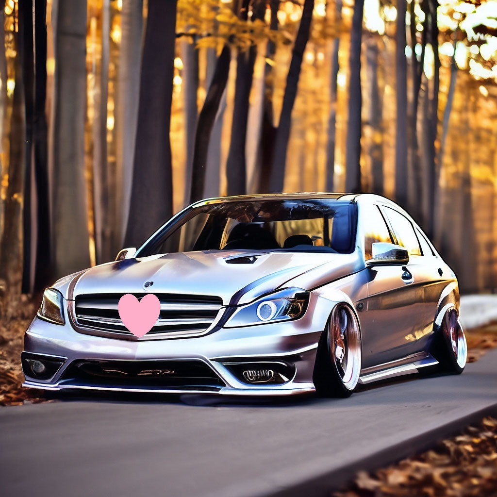 JOM Coilover Suspension Lowering Kit For Mercedes Benz C-Class W204 E ...